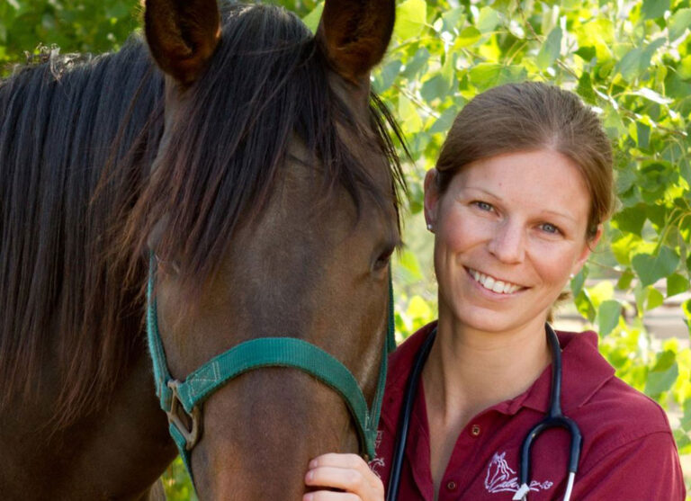 Our Veterinarians – Gilson Equine Veterinary Services